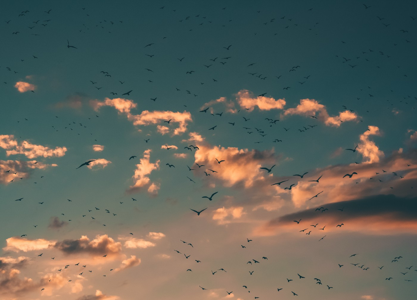 Help Celebrate Hug A Cloud Day! - Fran Moreland Johns
