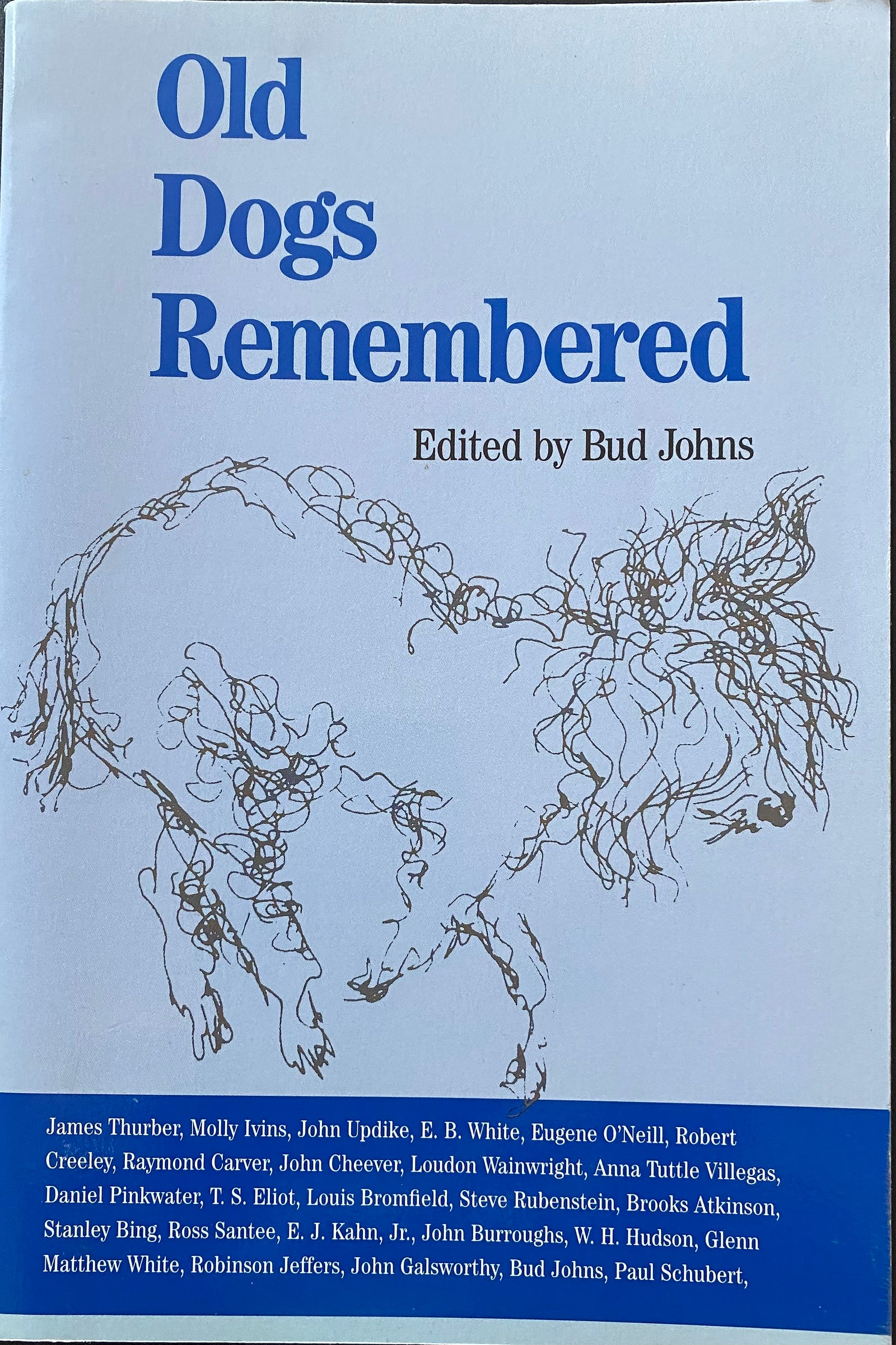 Remembering Molly Ivins - Fran Moreland Johns